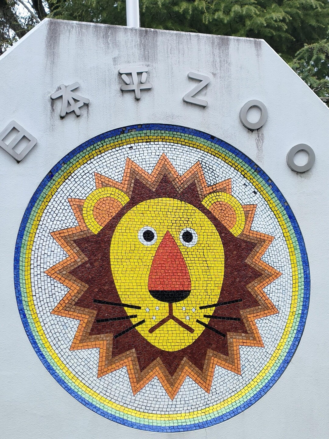 2024.4 日本平zoo3大美女 ... / kyouno-soraさんのモーメント | YAMAP / ヤマップ