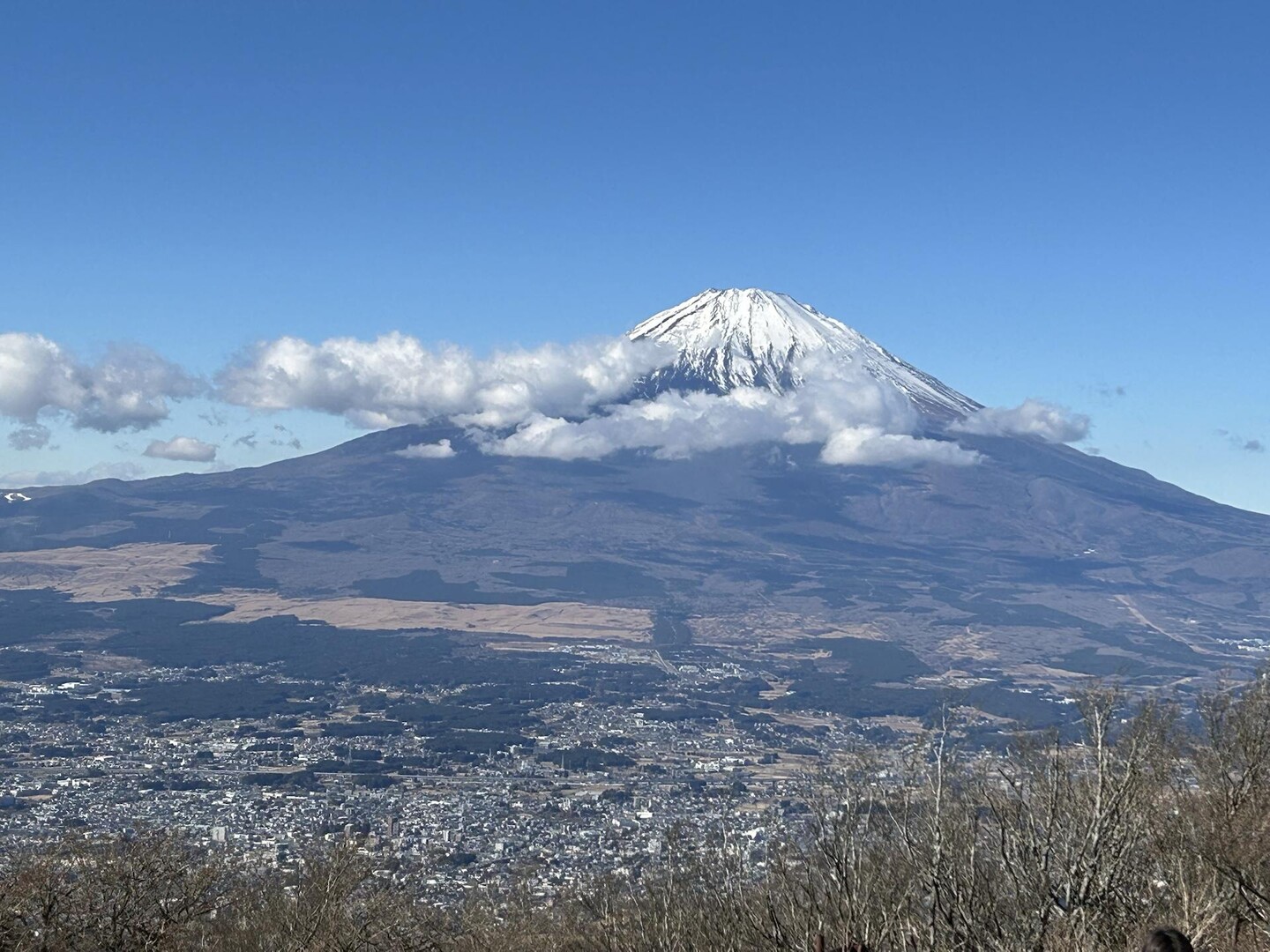 初めての金時山 / yasuやすyasuさんの金時山・明神ヶ岳の活動データ | YAMAP / ヤマップ