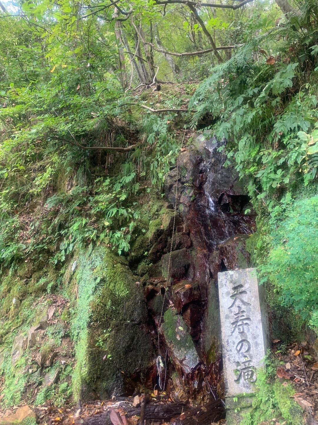 kokiさんの投稿したフィールドメモ | YAMAP / ヤマップ