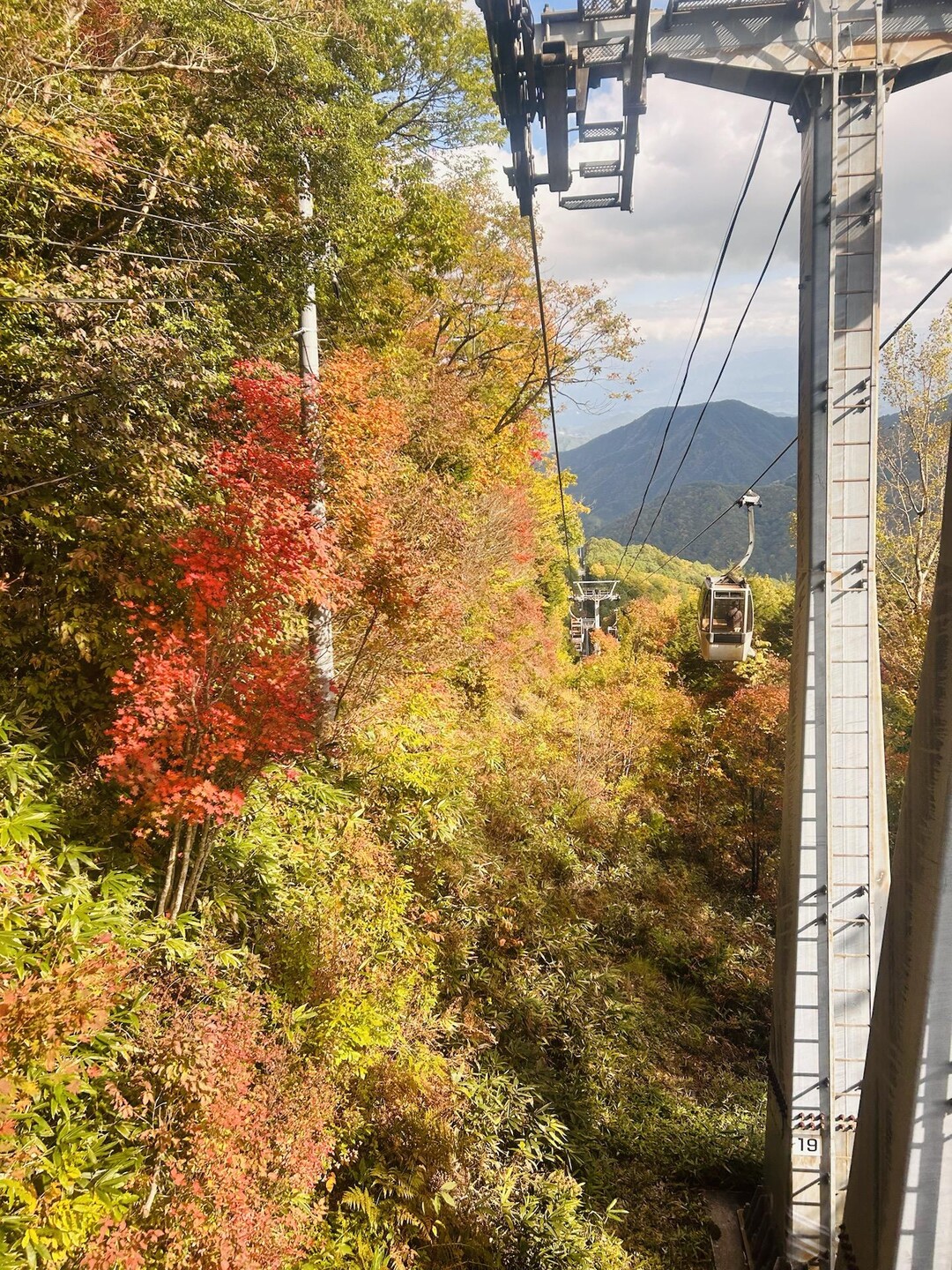 富士見台^_^ヘブンスそのはら雲海を見に / ka〜さんの恵那山・大判山・神坂山の活動データ | YAMAP / ヤマップ