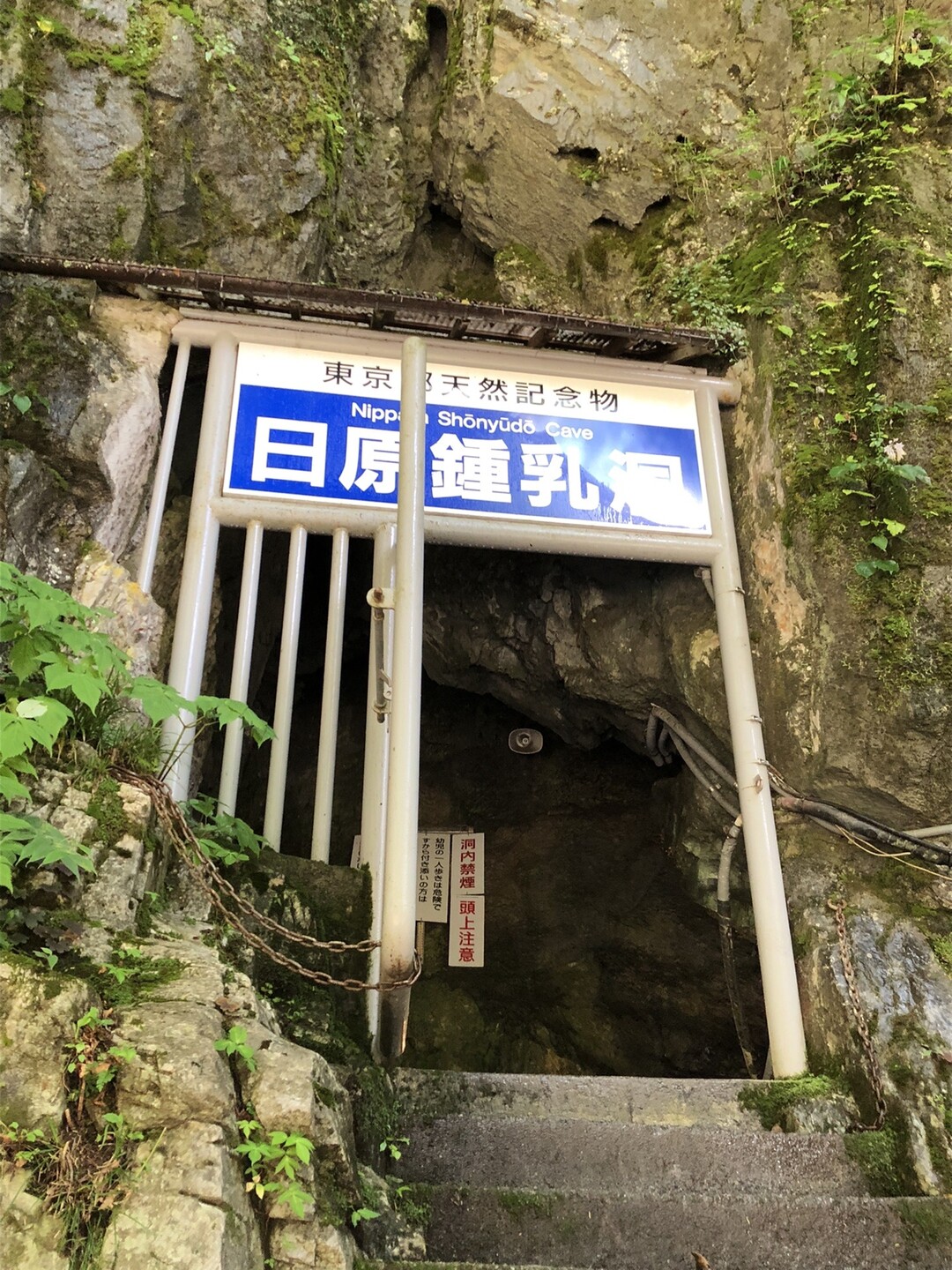 Neko⭐︎💫⭐︎さんの投稿したフィールドメモ | YAMAP / ヤマップ