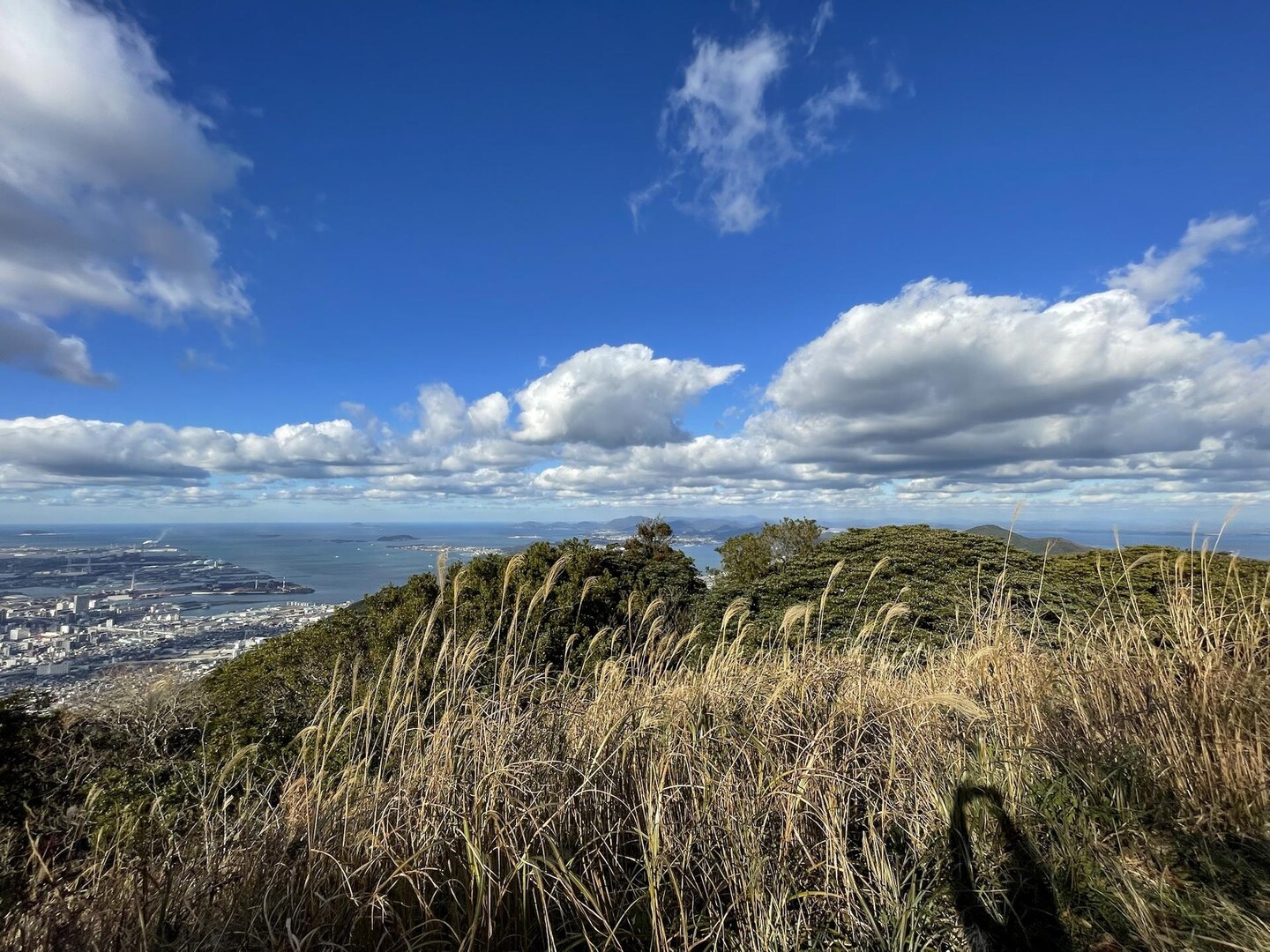 砲台山・足立山（霧ヶ岳）・妙見山 / Skt_Tozanさんの足立山・戸ノ上山の活動データ | YAMAP / ヤマップ