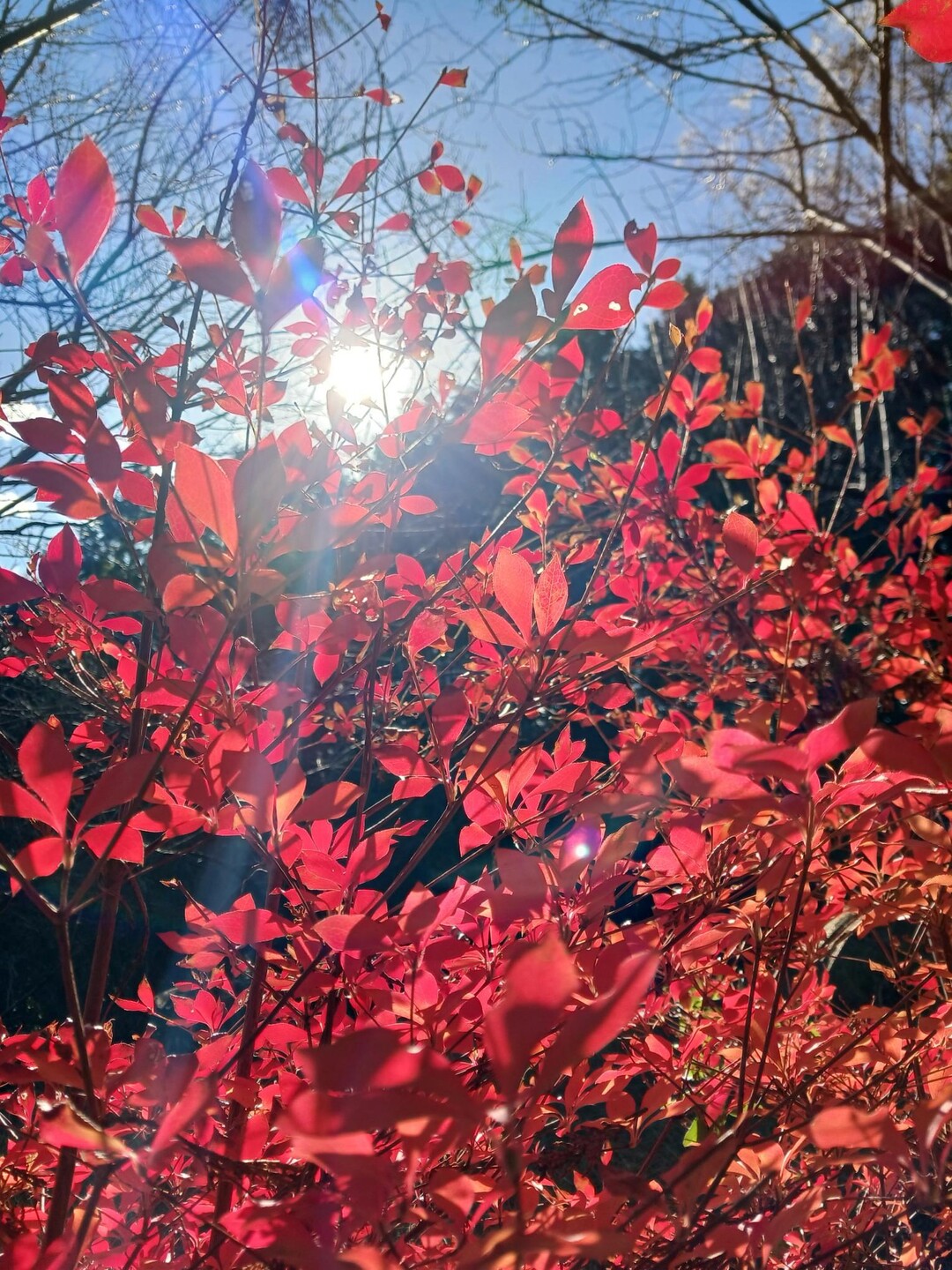 多度山💯 / LULU さんの多度山・美濃松山・石津御嶽の活動データ | YAMAP / ヤマップ