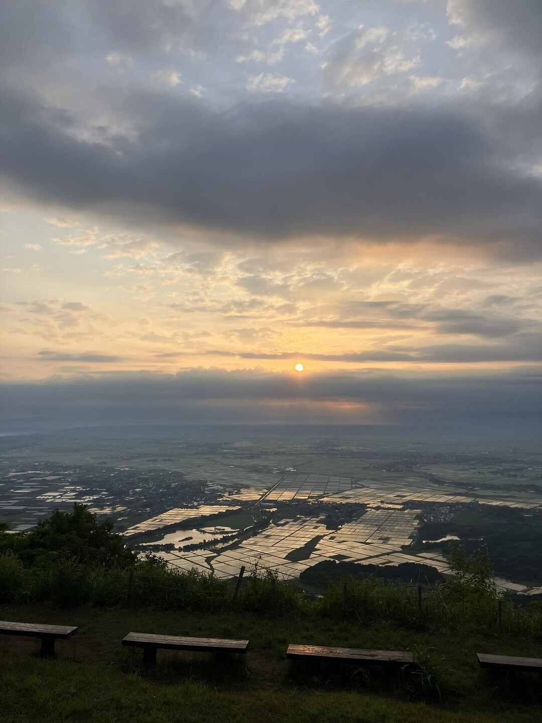 角田山-2023-05-27 / kiku._.yokoさんの角田山の活動日記 | YAMAP / ヤマップ