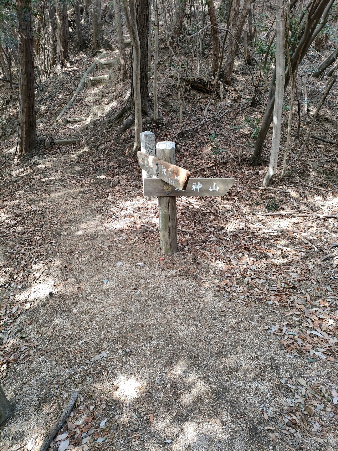 jiyoさんの投稿したフィールドメモ | YAMAP / ヤマップ