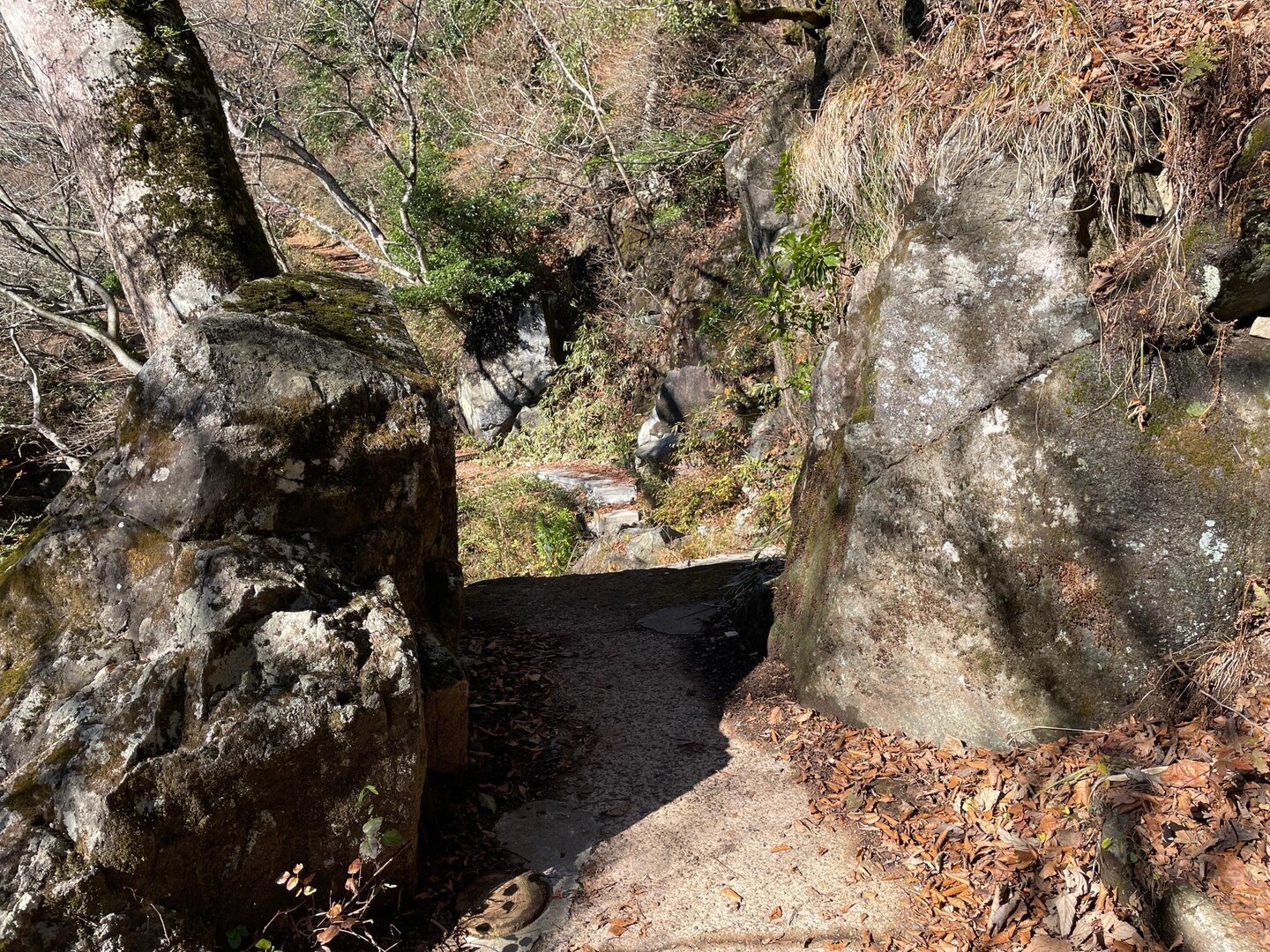 筑波山（女体山）・筑波山（男体山） トコトコ散歩 PS250 / ota660さんの筑波山の活動データ | YAMAP / ヤマップ