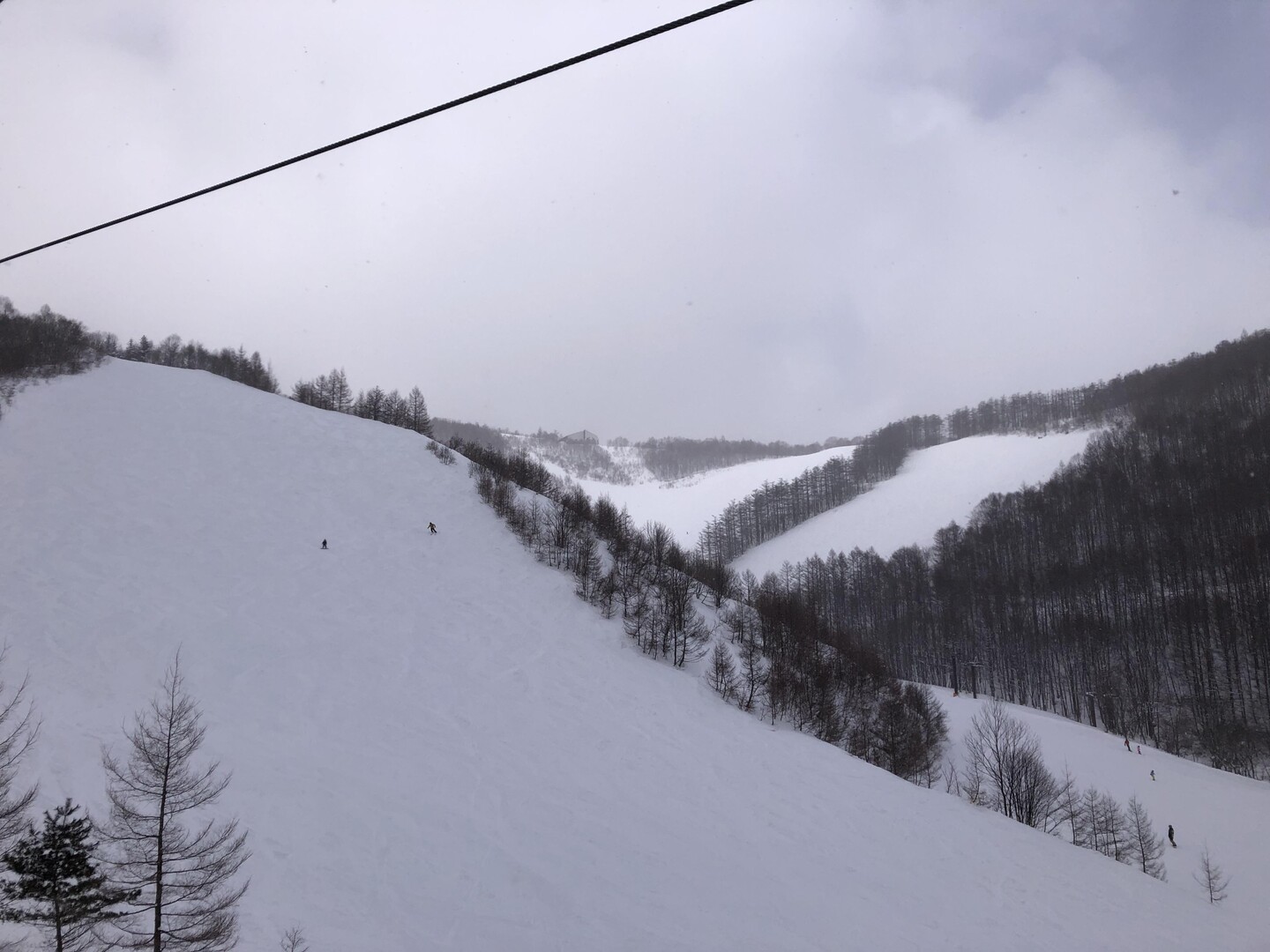 ski⛷ -2024-03-10 ｵｸﾞ... / スキーヤーKさんのモーメント | YAMAP / ヤマップ