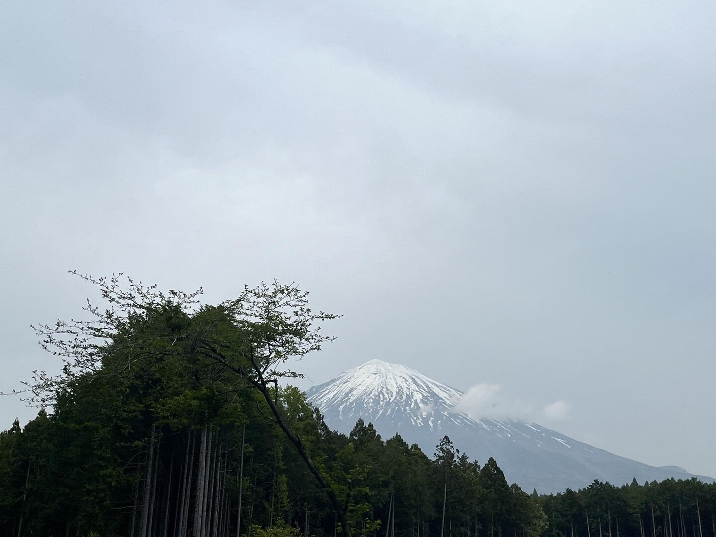 FUJI 2023 / fumさんの富士山の活動データ | YAMAP / ヤマップ