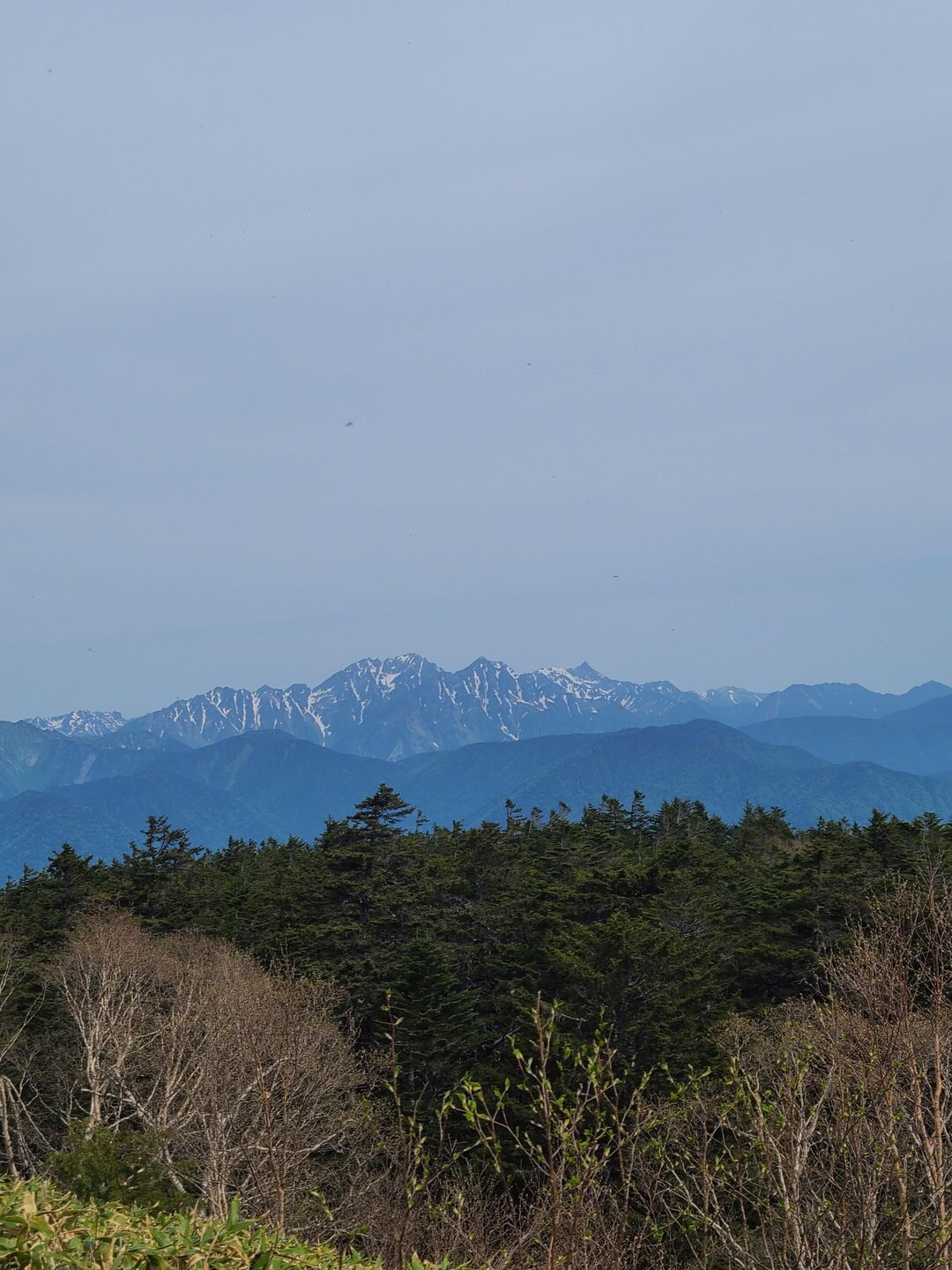 鉢盛山-2023-06-18 / TEPPY さんの鉢盛山の活動データ | YAMAP / ヤマップ