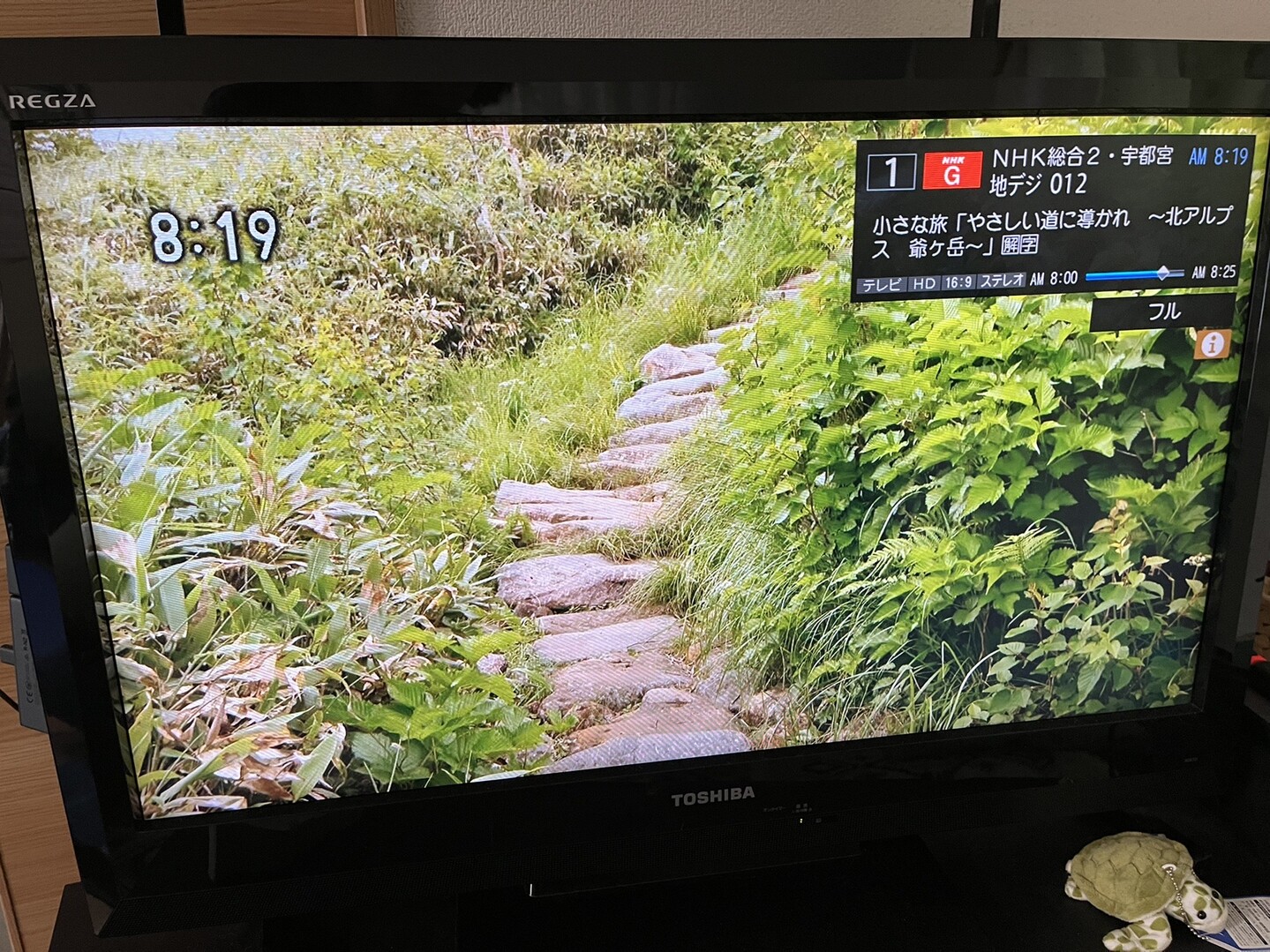 いまNHKで、爺ヶ岳やってる！ 親子3代... / わんこさんのモーメント | YAMAP / ヤマップ