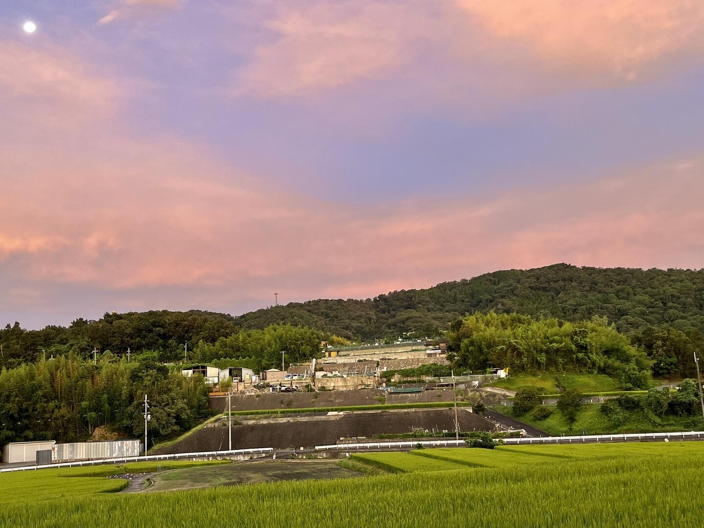 今日も、35℃超えの猛暑日。 涼しいうち... / ミカン de mikanさんのモーメント | YAMAP / ヤマップ