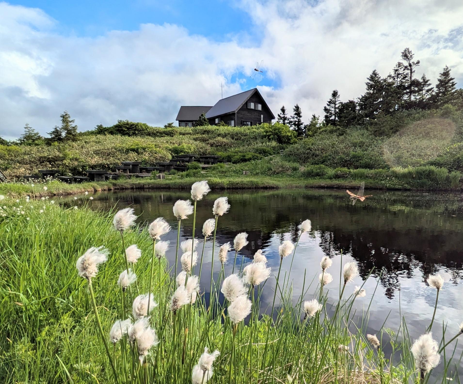 会津駒ヶ岳 / ashさんの会津駒ヶ岳の活動データ | YAMAP / ヤマップ