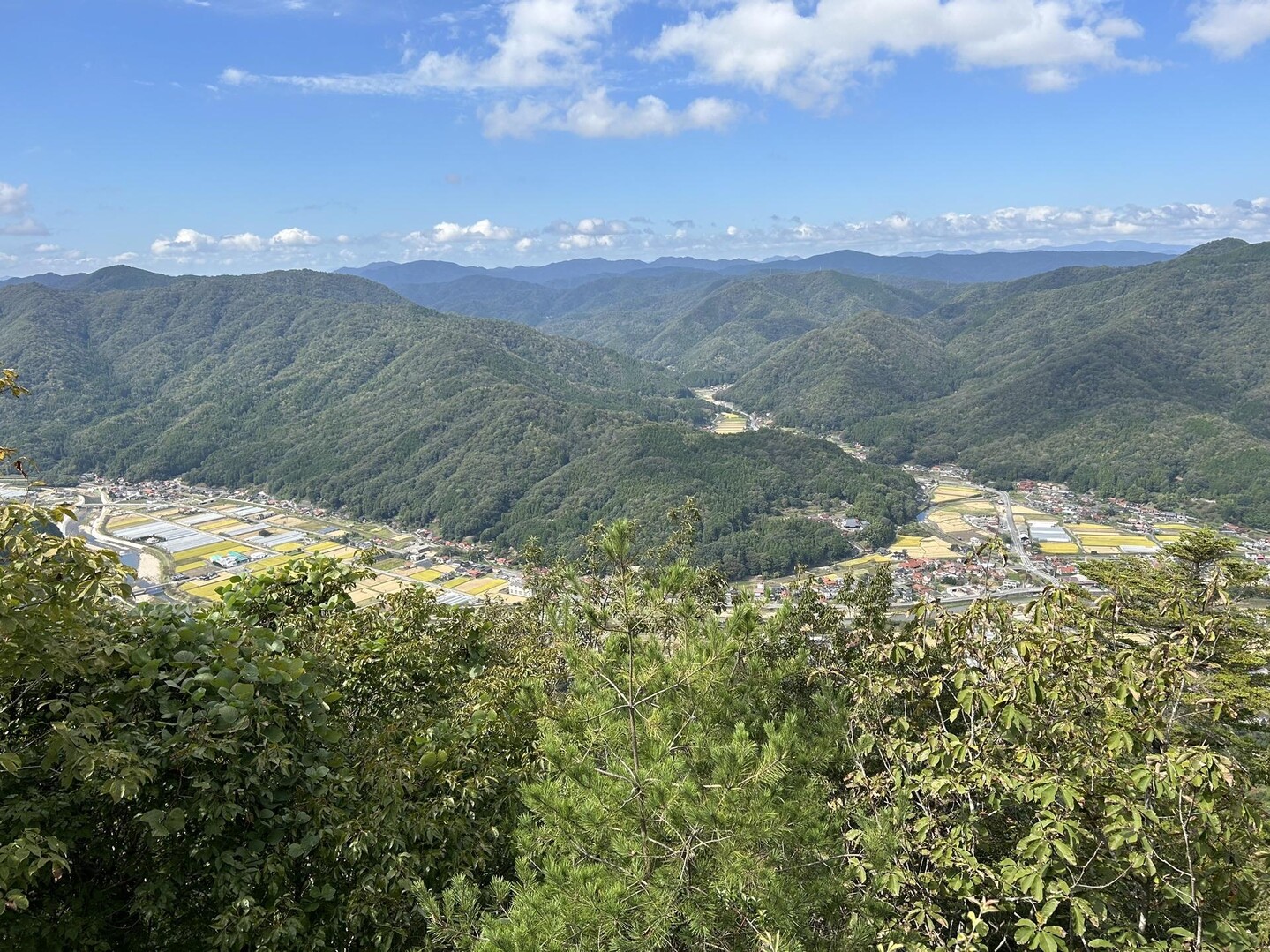 神ノ倉山 / sumiさんの鷹ノ巣山・カンノ木山・硫黄山の活動データ | YAMAP / ヤマップ