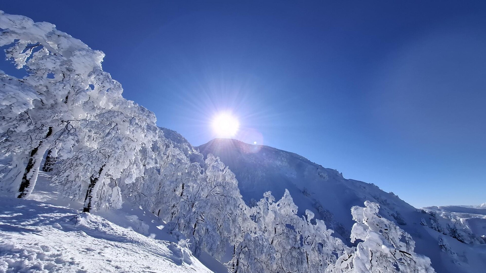 深谷ノ頭・前荒島岳・中荒島岳・荒島岳 / tatuさんの荒島岳の活動データ | YAMAP / ヤマップ