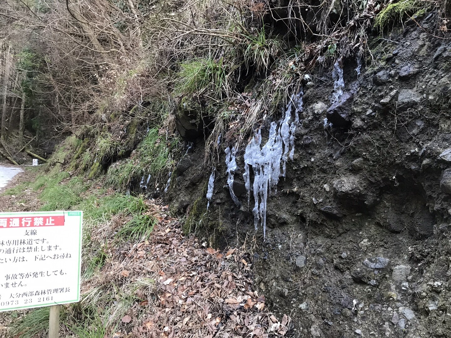 鷹の巣山① / bunさんの英彦山の活動データ | YAMAP / ヤマップ