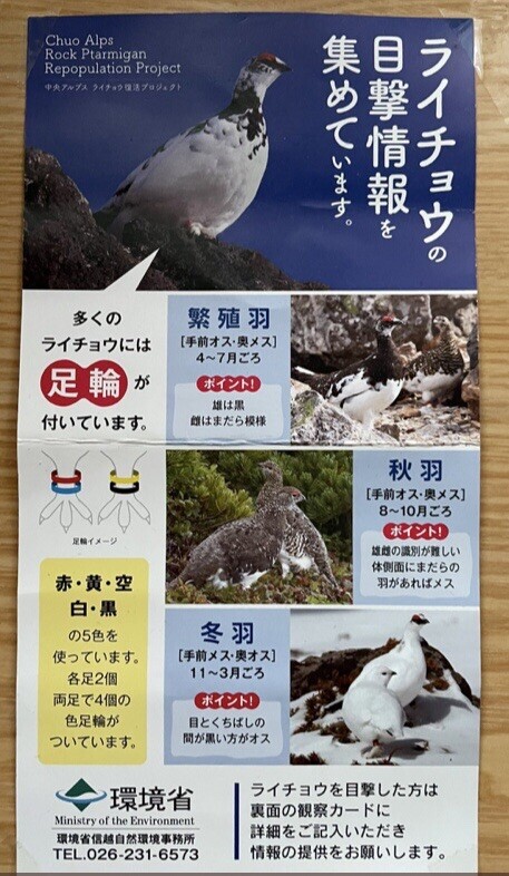 昨年 宝剣山荘で見つけた この 雷鳥観察... / Ushi924さんのモーメント | YAMAP / ヤマップ