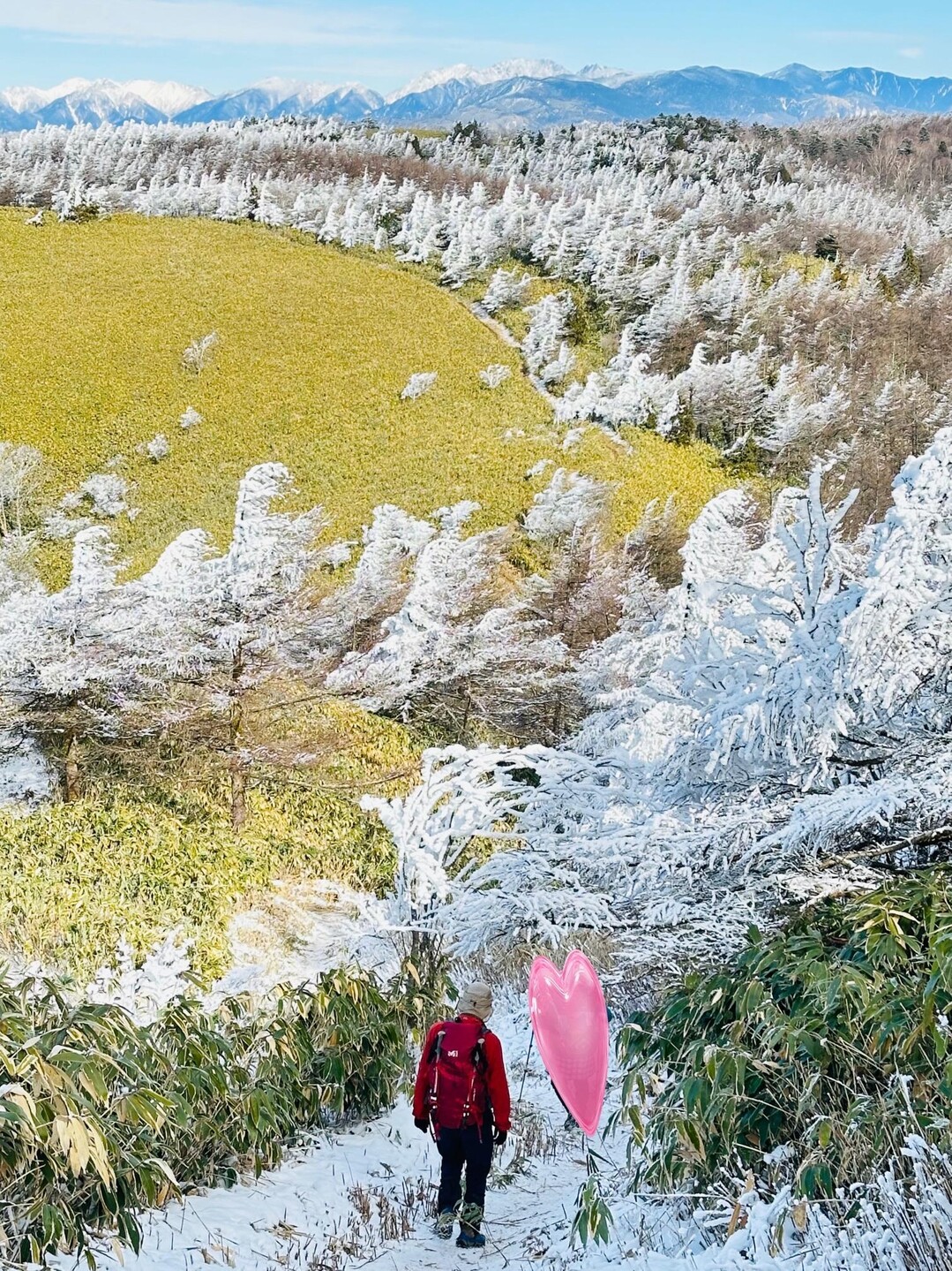 南沢山・横川山（湯舟沢山） / himiさんの恵那山・大判山・神坂山の活動データ | YAMAP / ヤマップ