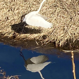 Mt.Mikiのページ | YAMAP / ヤマップ