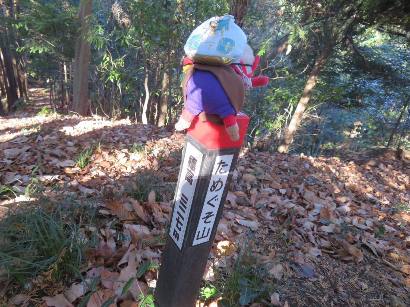 里100(多摩百)集め。VR大初見大会💨TG山からの～勝峰山・白岩山&MORE / andyさんの大岳山・御岳山・御前山の活動データ | YAMAP / ヤマップ