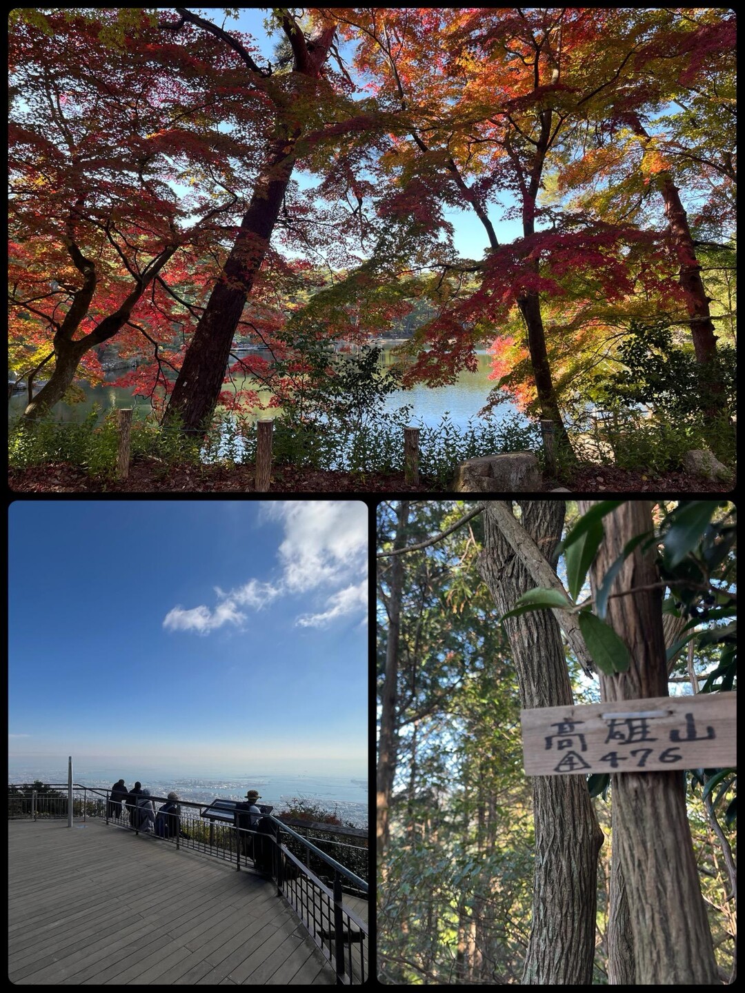 摩耶山・高雄山ピークハント / HHさんの六甲山・長峰山・摩耶山の活動データ | YAMAP / ヤマップ