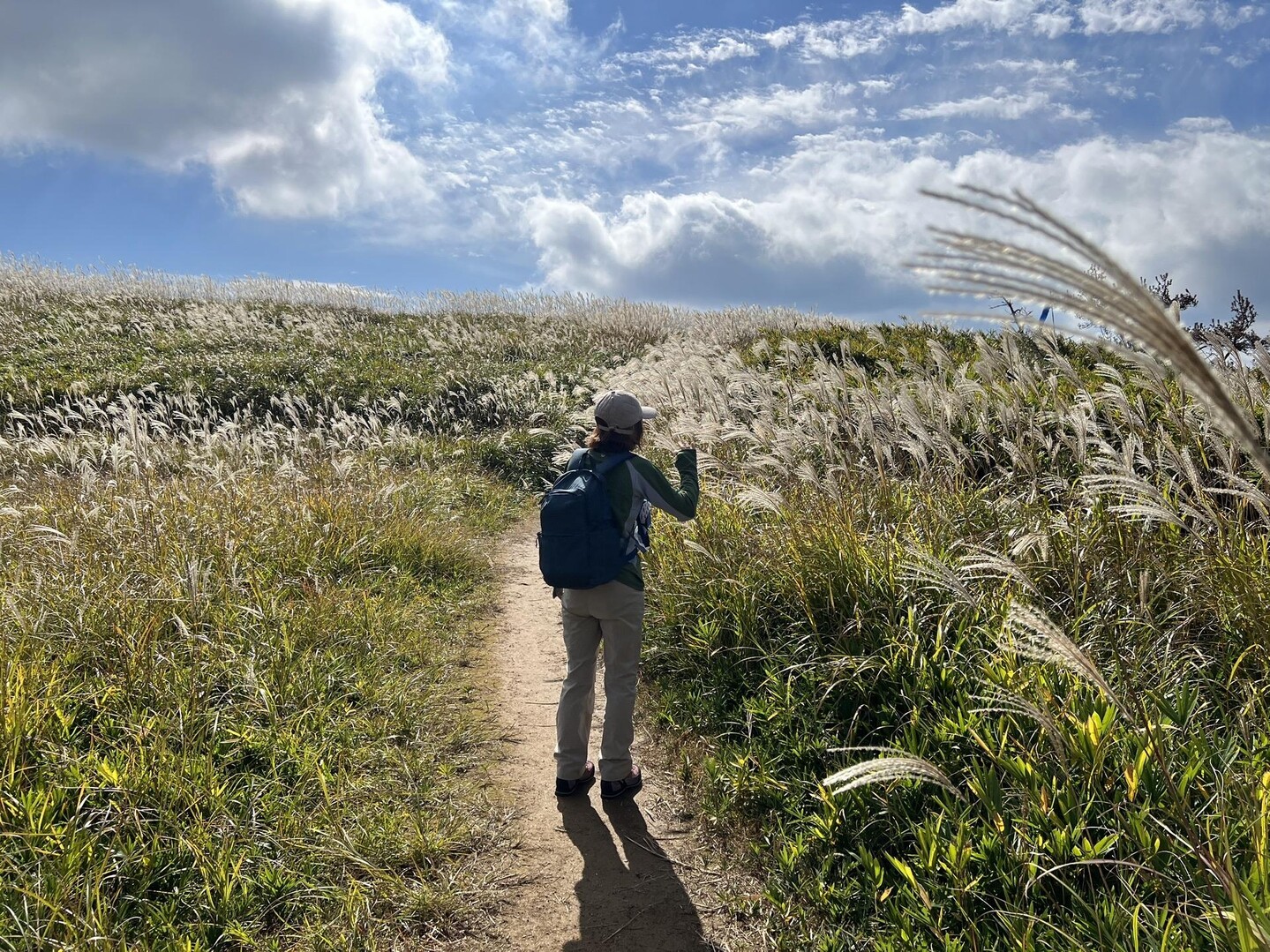 大和葛城山🌾 / sinoさんさんの金剛山・二上山・大和葛城山の活動データ | YAMAP / ヤマップ