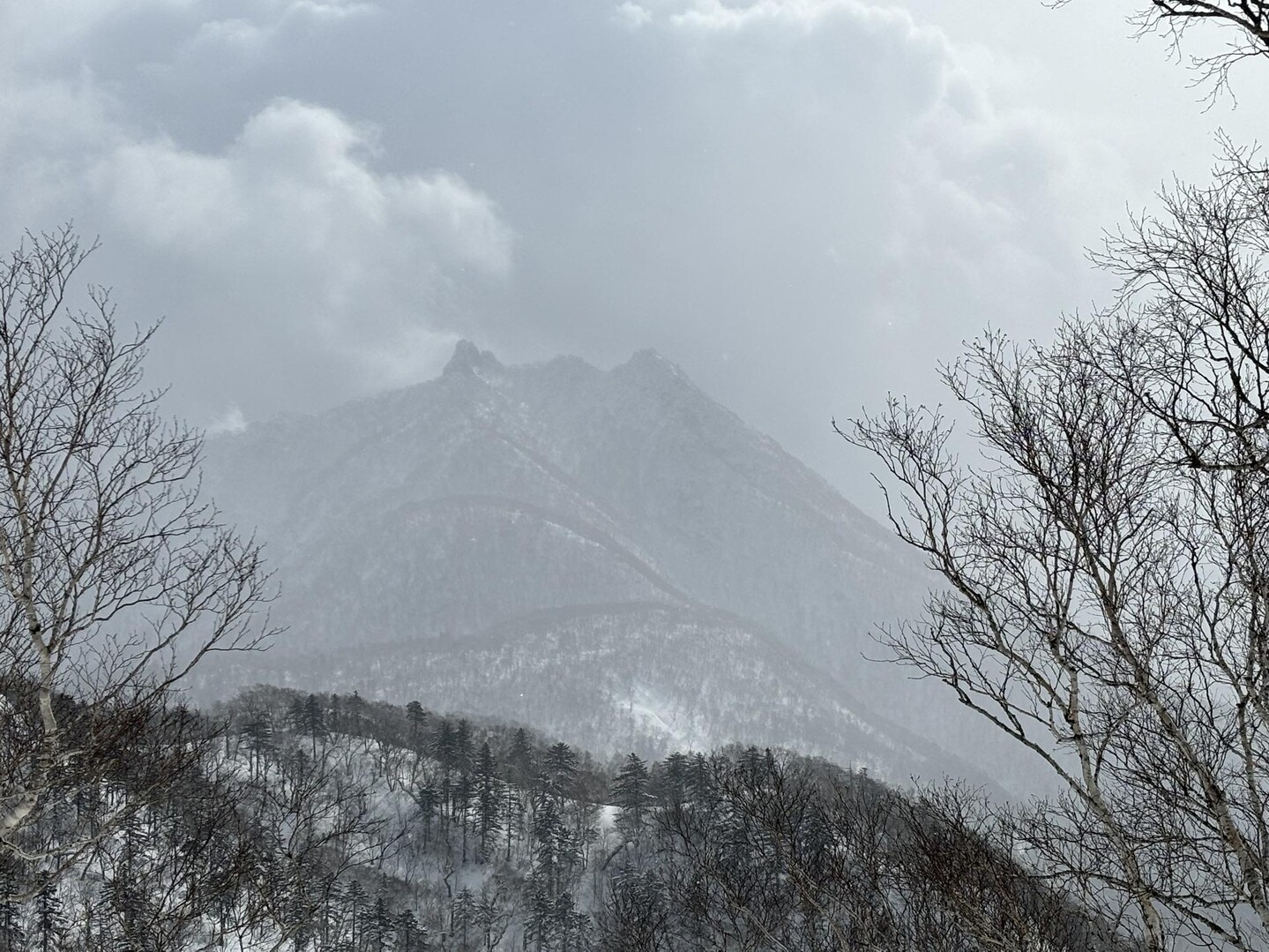 漁岳-撤退！ / Yotchさんの漁岳の活動データ | YAMAP / ヤマップ