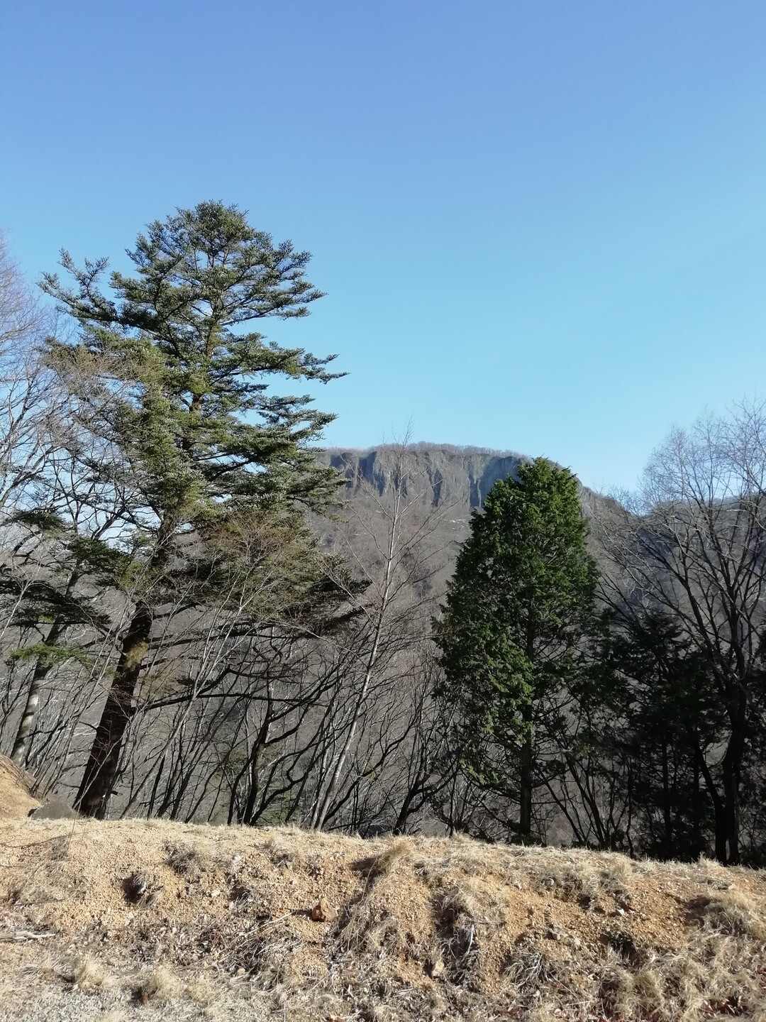 荒船山 / hirokyuuさんの荒船山・物語山・大屋山の活動データ | YAMAP / ヤマップ