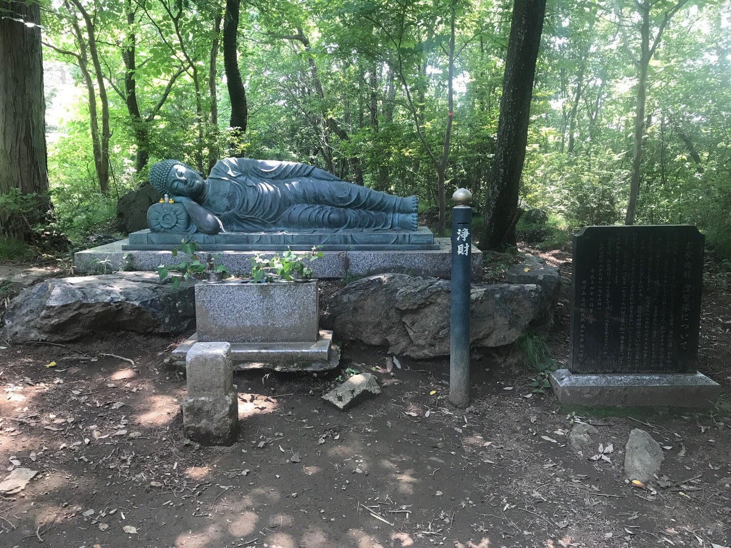 kosukeさんの投稿したフィールドメモ | YAMAP / ヤマップ