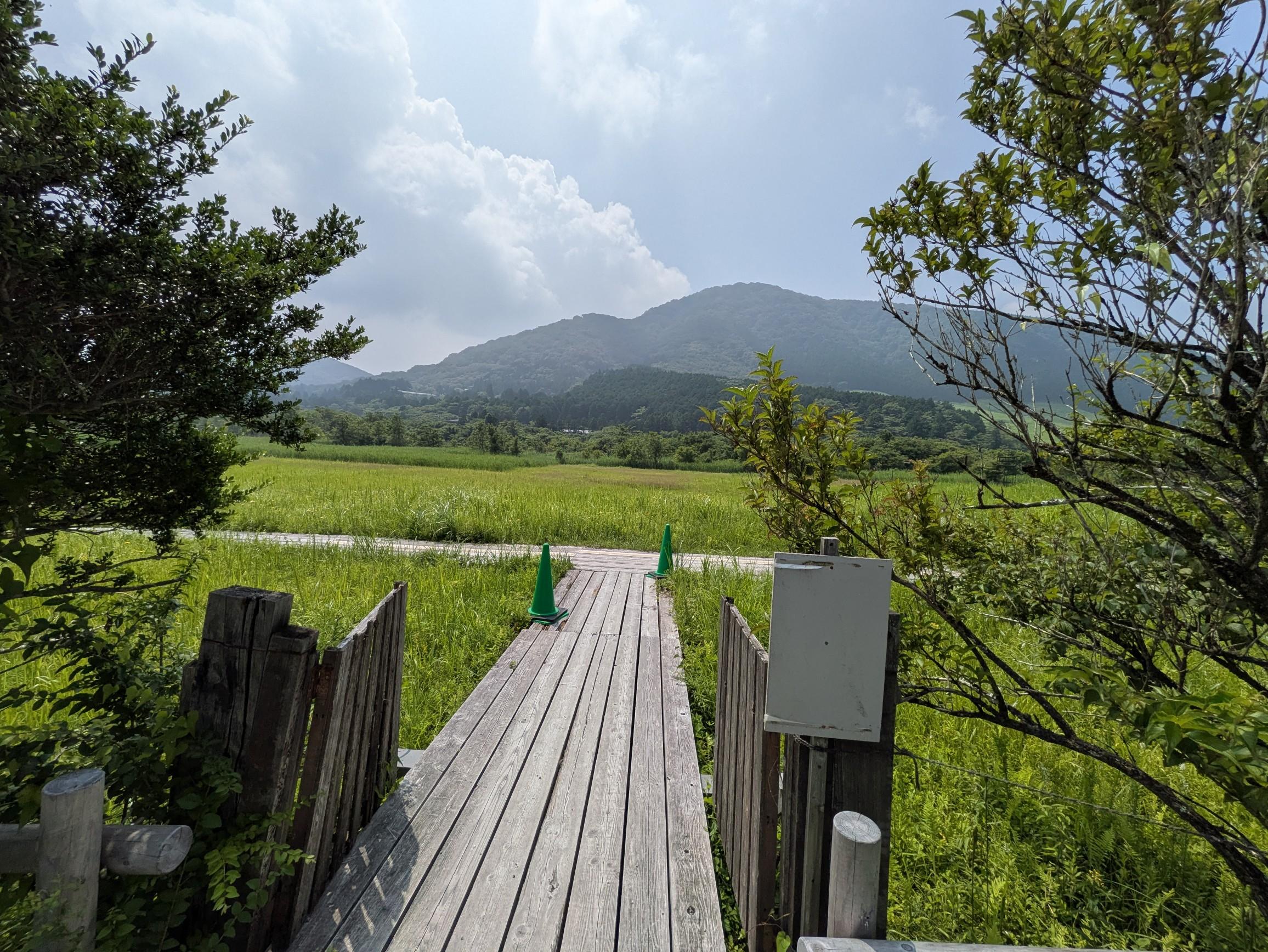 WLK🚶‍♀️:箱根湿生花園🏞️ / のりさんの金時山・明神ヶ岳の活動データ | YAMAP / ヤマップ