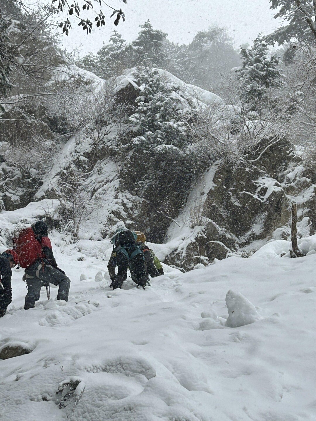 堂満岳中央稜 https://kyoto... / 京都趣味登山会さんのモーメント | YAMAP / ヤマップ