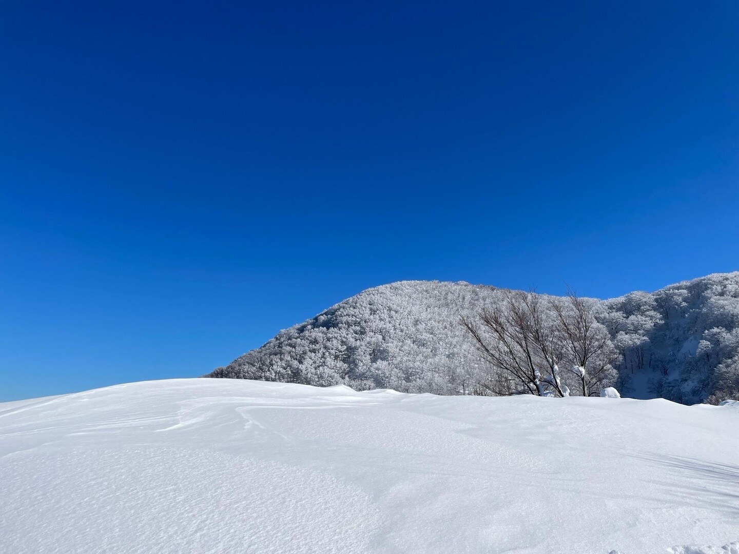 写真を見ていたら、18日（土）の方が超絶... / JOG太郎さんのモーメント | YAMAP / ヤマップ