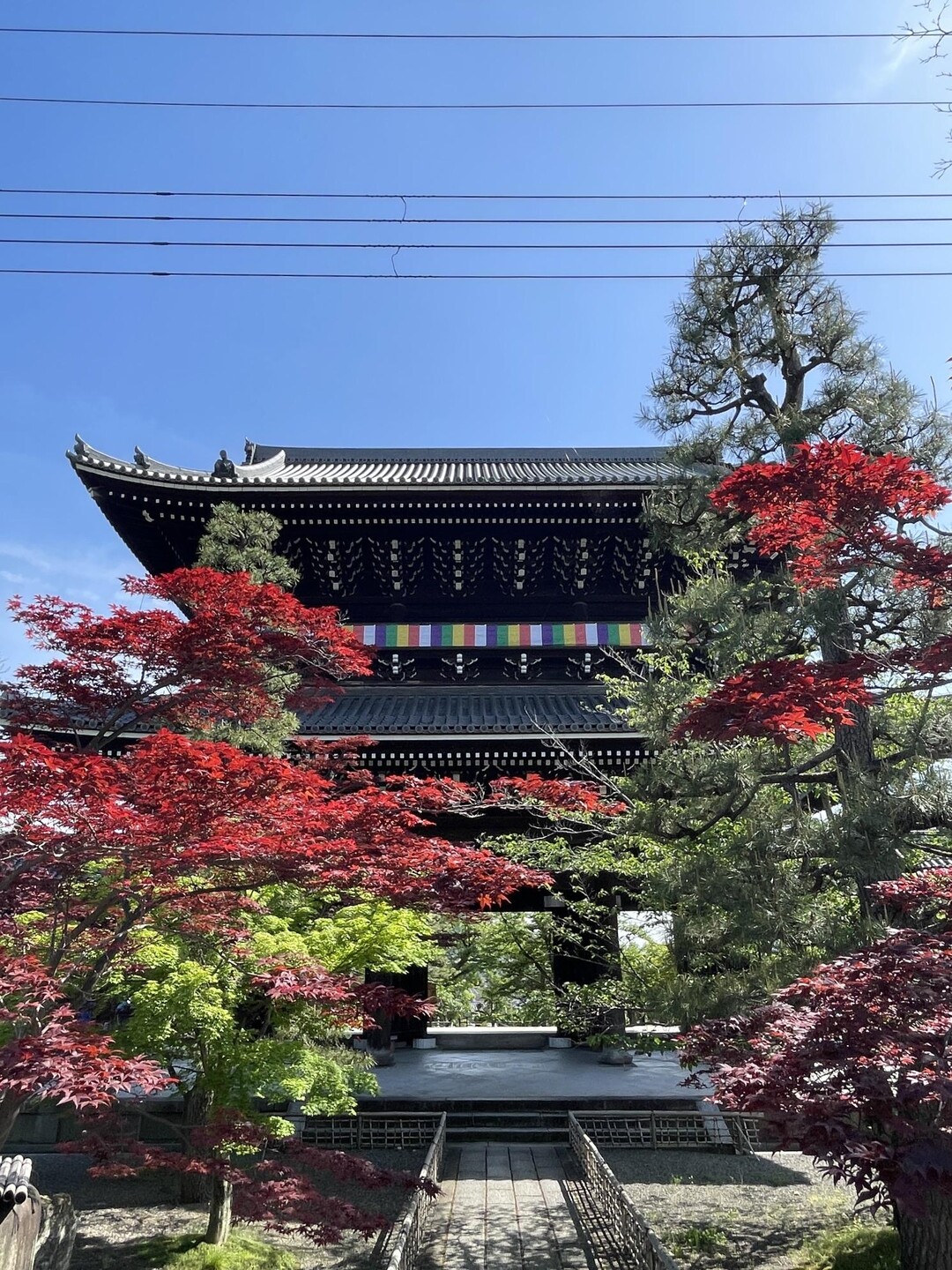 吉田山・椿ヶ峰 新緑の天皇陵巡りとプチ山歩 / Rさんの京都一周トレイルの活動データ | YAMAP / ヤマップ