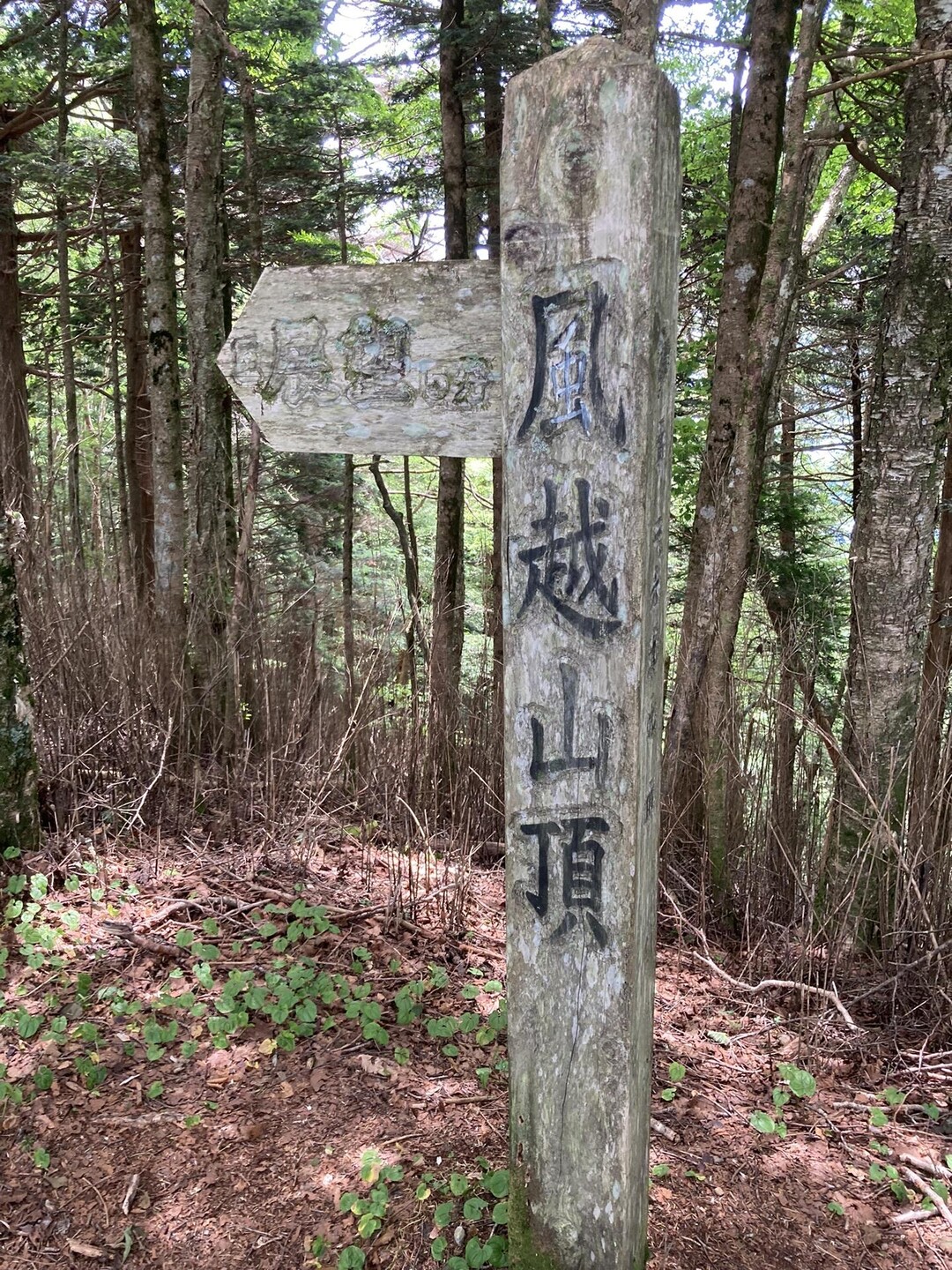 二等三角点「風越」（かぜこし） 風越山山... / siriaさんのモーメント | YAMAP / ヤマップ