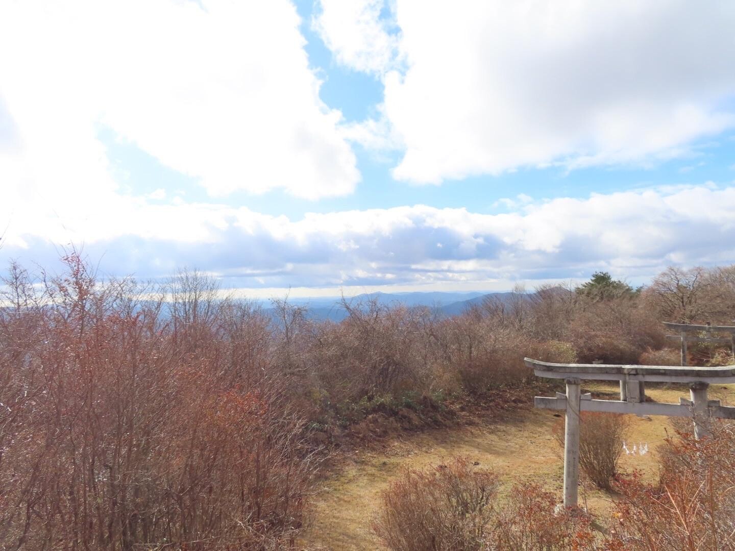 日山(天王山) / ni.koさんの日山（天王山）の活動データ | YAMAP / ヤマップ