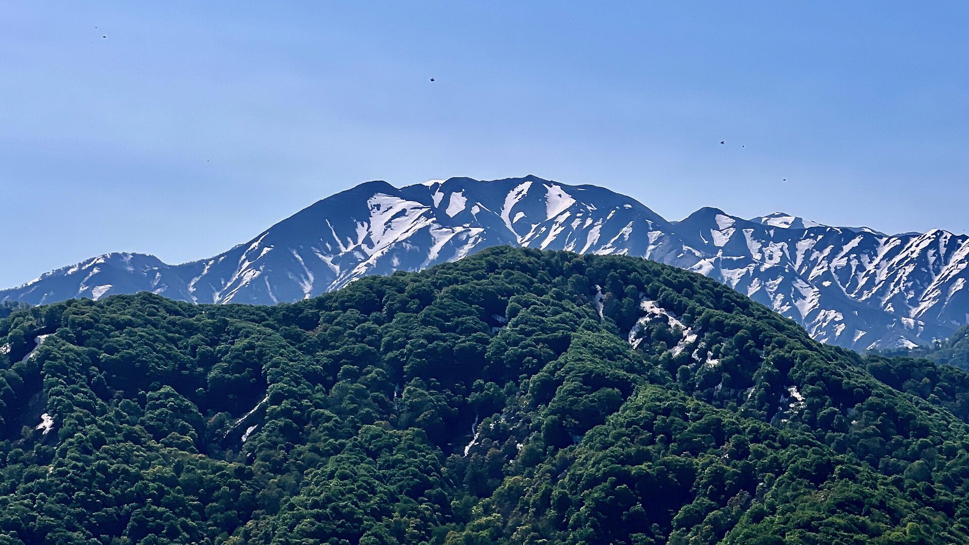 牟礼山 / George-Mさんの牟礼山の活動データ | YAMAP / ヤマップ