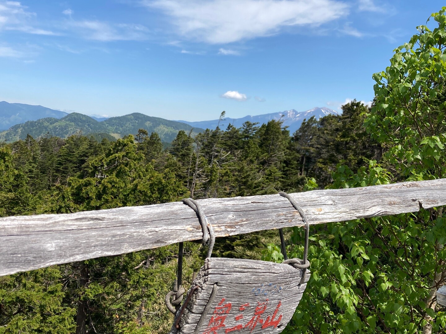 奥三界岳 / kanapさんの奥三界岳・夕森山の活動データ | YAMAP / ヤマップ
