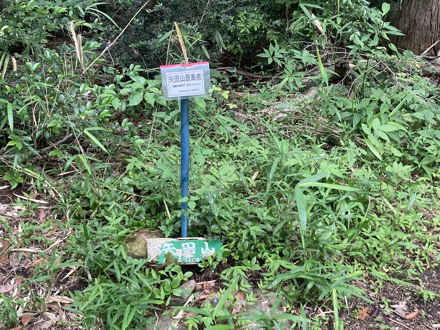 kazz309さんの投稿したフィールドメモ | YAMAP / ヤマップ