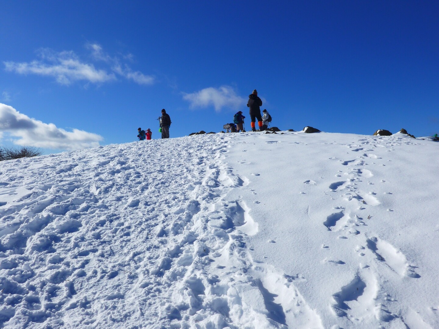 入笠山 1955m (沢入駐車場からピストン) / SaTosHiさんの入笠山の活動日記 | YAMAP / ヤマップ