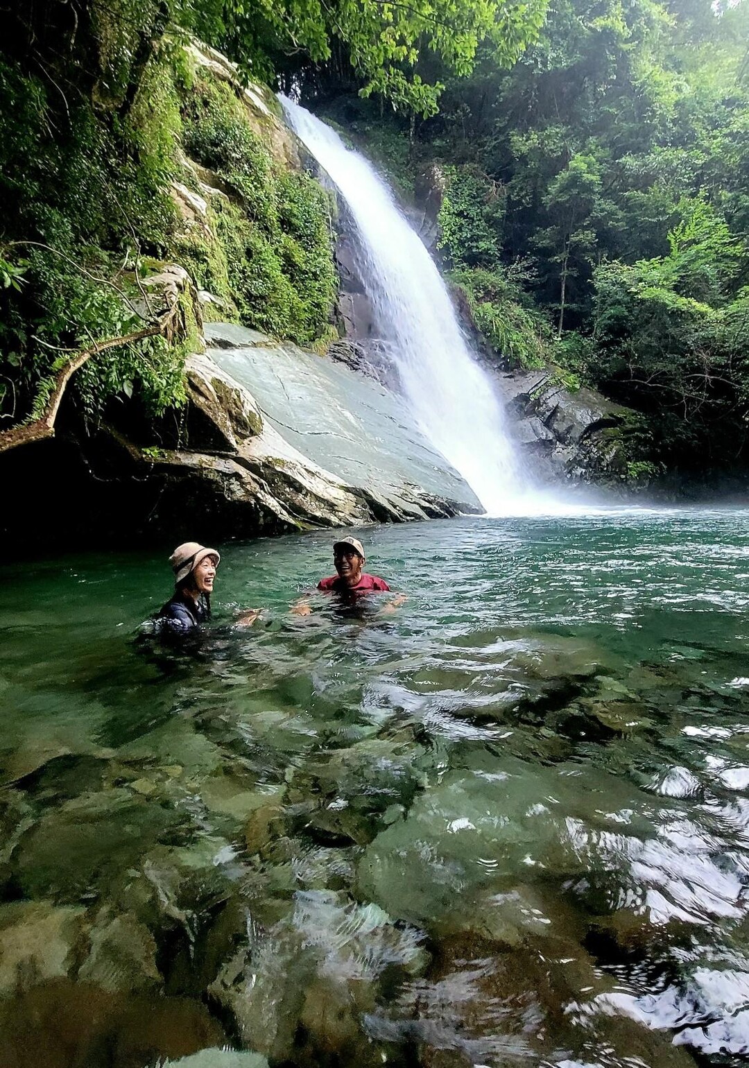 メンノツラ再訪🎶天涯の花と誕生日㊗️🙆💡 / wakky!!さんの祖母山の活動日記 | YAMAP / ヤマップ