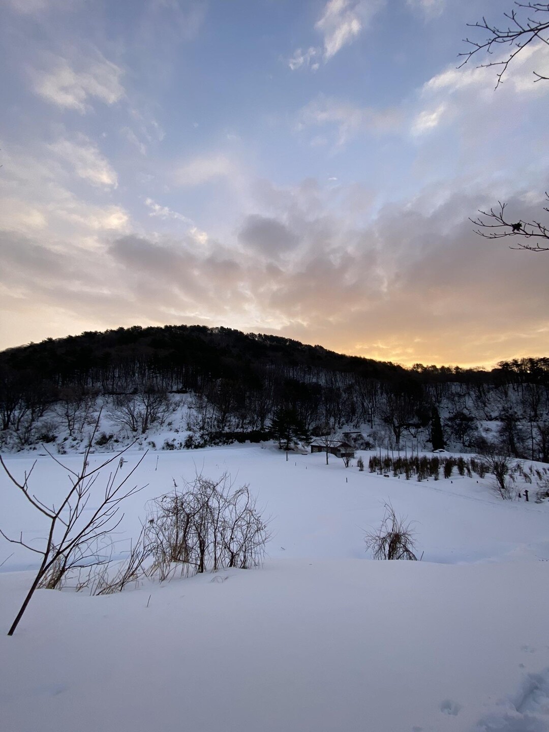 キゴ山〜♫ / TARUMIさんの医王山・白兀山・箱屋谷山の活動データ | YAMAP / ヤマップ