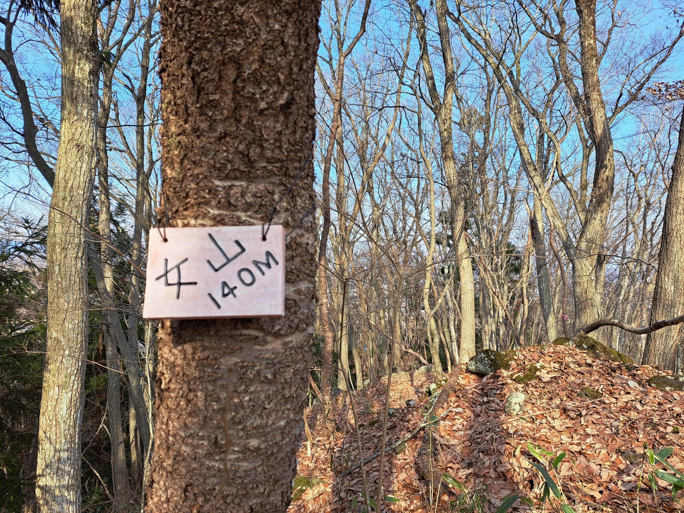 女山 / cross.448さんの珊瑚岳・国見山の活動データ | YAMAP / ヤマップ