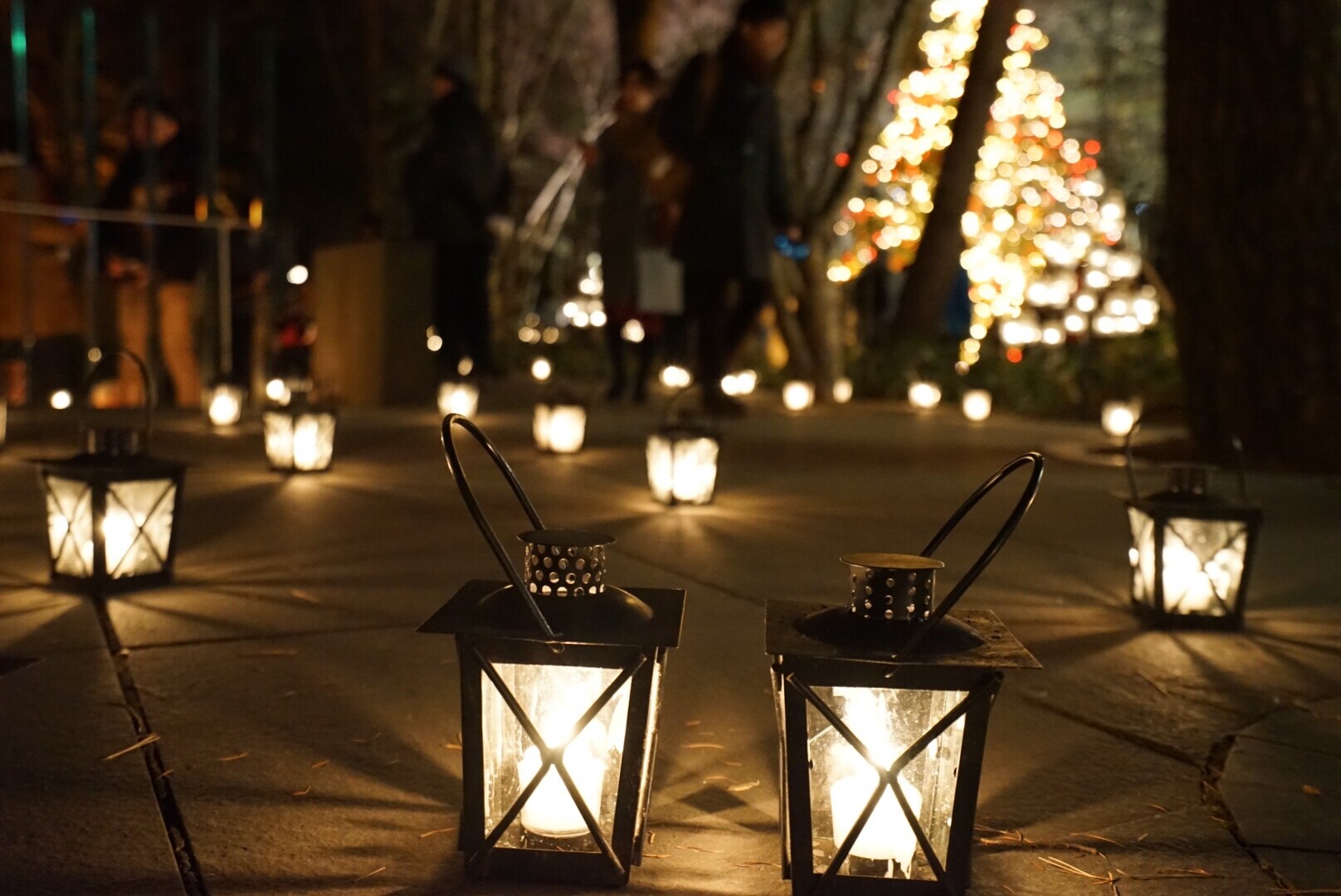 クリスマスイブ、軽井沢でのひと時 / ヨッシーさんの中山道（軽井沢宿・沓掛宿・追分宿・小田井宿）の活動データ | YAMAP / ヤマップ
