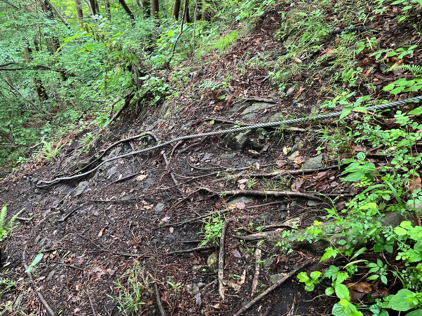 mura yanさんの投稿したフィールドメモ | YAMAP / ヤマップ