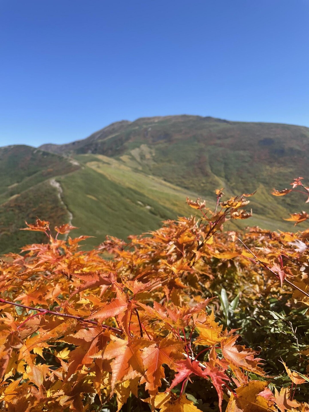 🍁Gassan🍁 / sinnnさんの月山の活動データ | YAMAP / ヤマップ