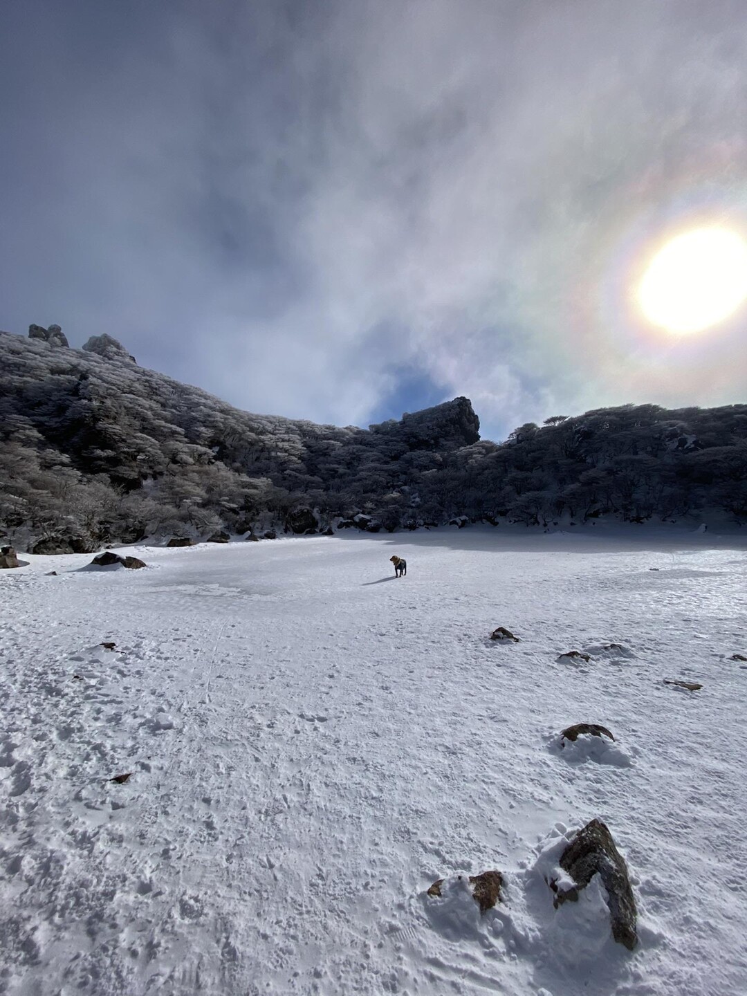 🏔しんシン🏔さんの投稿したフィールドメモ | YAMAP / ヤマップ