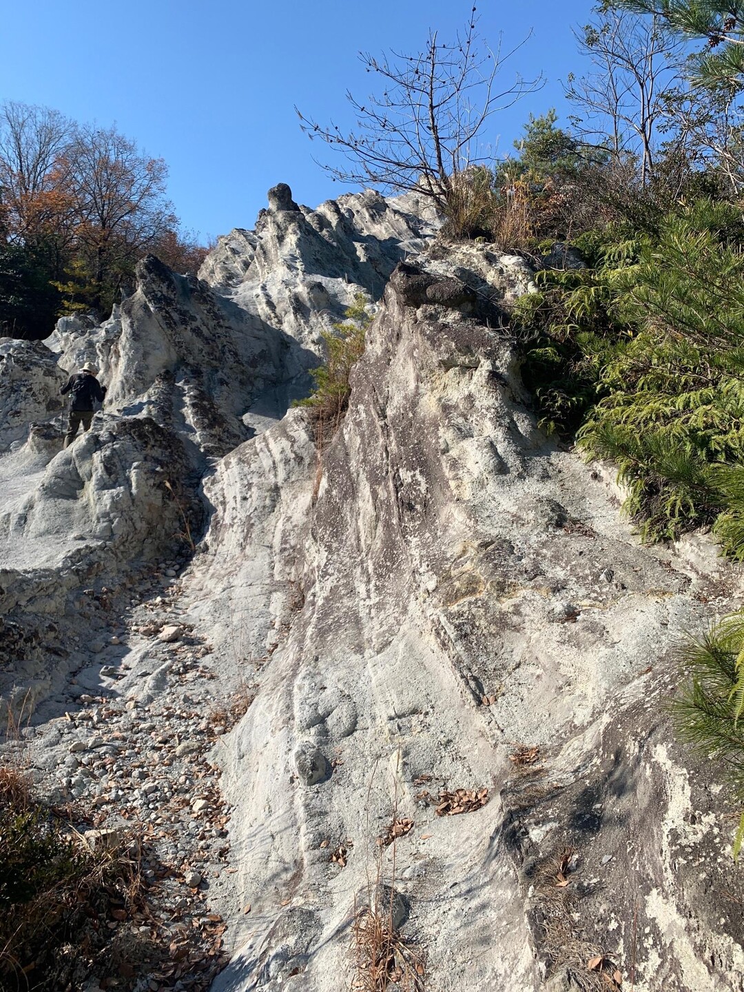 屯鶴峯 / yumi minさんの葛城修験エリアマップ（二上山周辺）の活動データ | YAMAP / ヤマップ