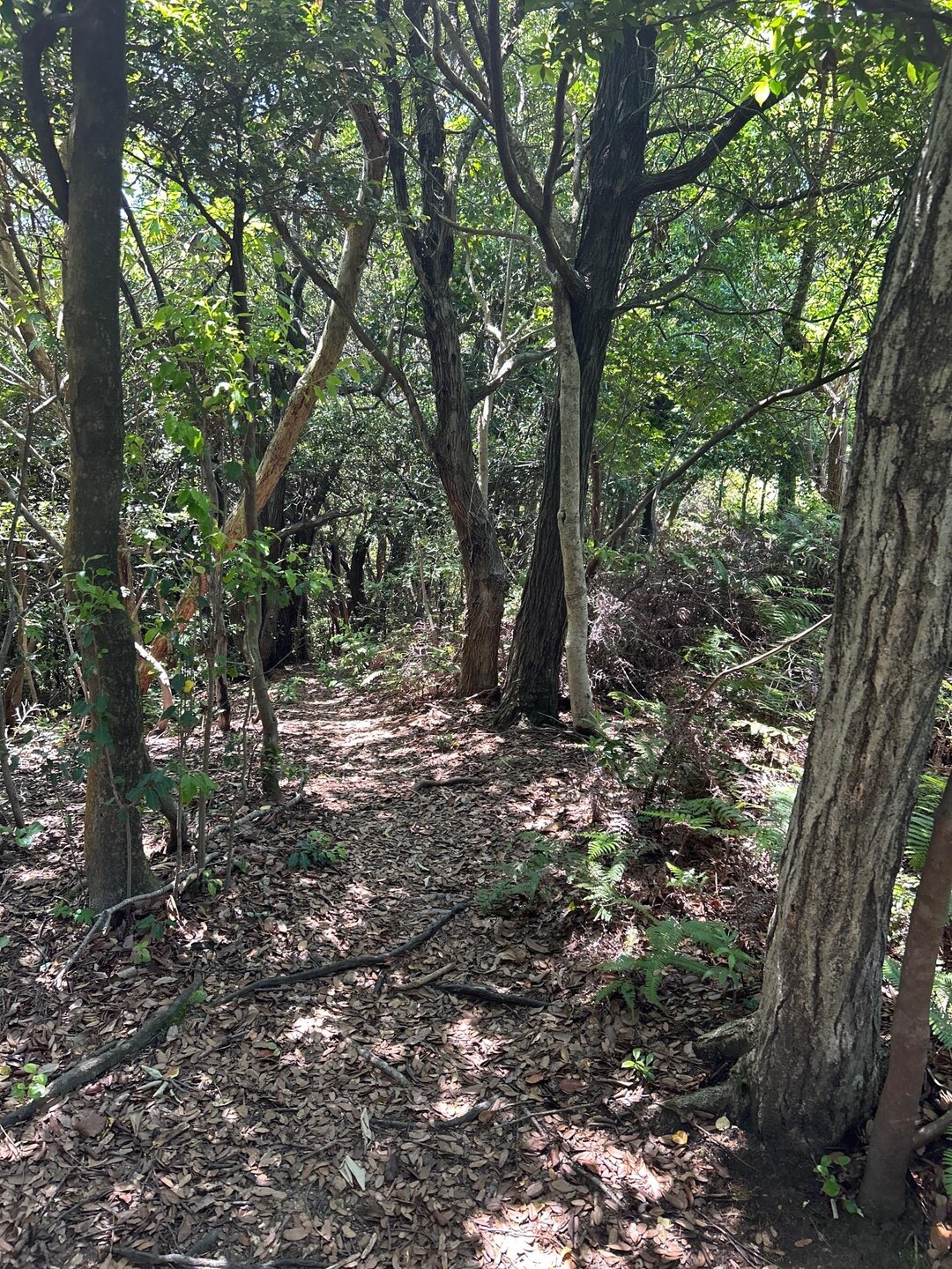 yuuさんの投稿したフィールドメモ | YAMAP / ヤマップ