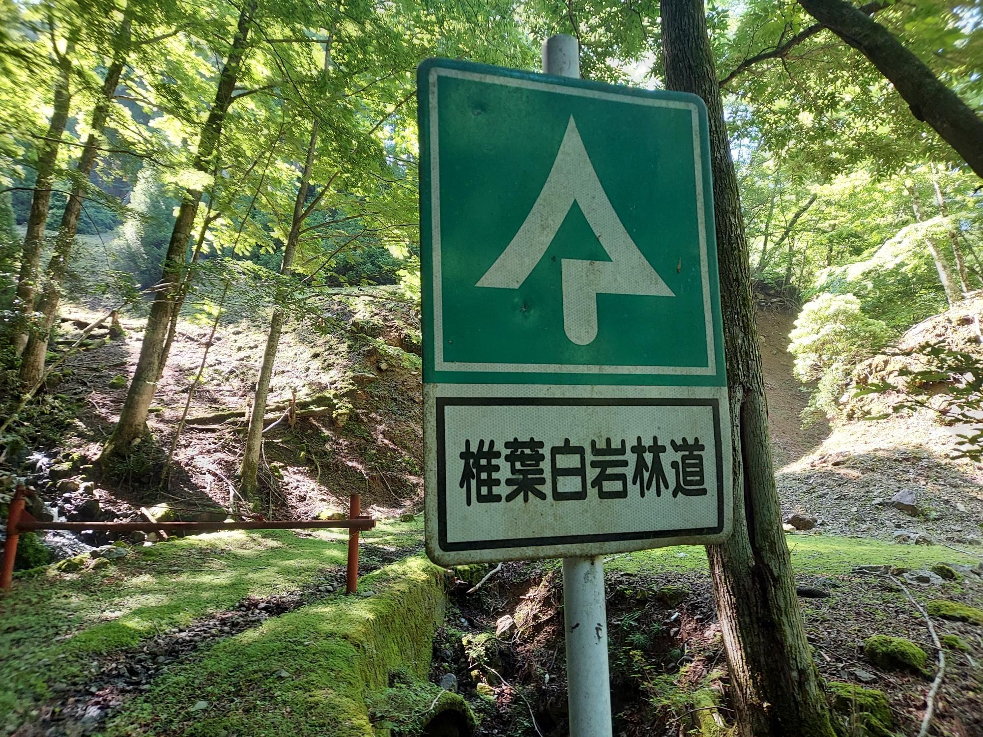 椎葉村 椎葉白岩林道、椎矢峠 / derainandreさんの向坂山・三方山・天主山の活動データ | YAMAP / ヤマップ