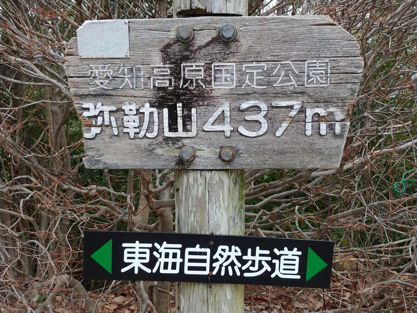 久しぶりに のんびり山歩きしてきました ... / meg♡さんのモーメント | YAMAP / ヤマップ