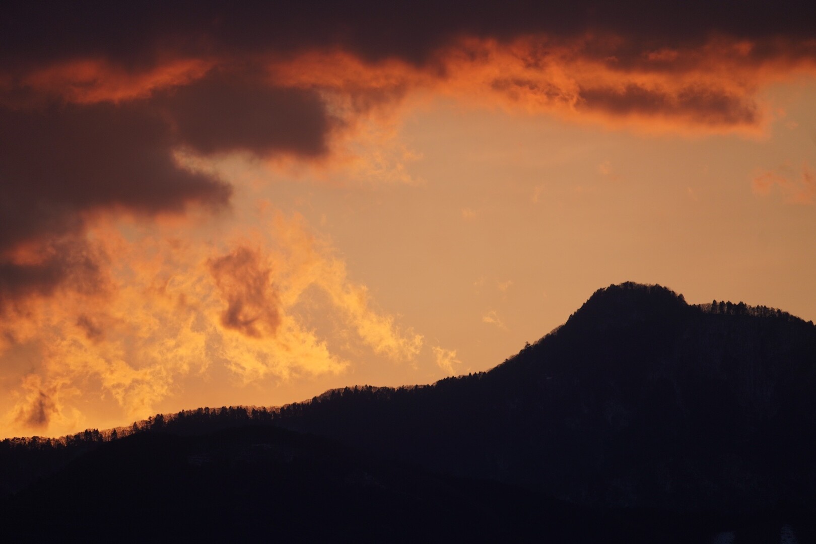 今日の大岳山 / YUTAさんのモーメント | YAMAP / ヤマップ